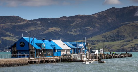 $27 Million Akaroa Wharf rebuild set to begin early next year, on track ...